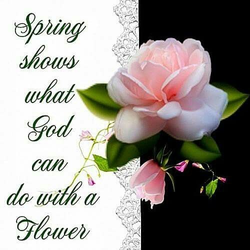 Spring Shows What God Can Do With A Flower Pictures, Photos, and Images ...