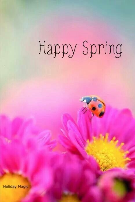 Happy Spring Pictures, Photos, and Images for Facebook, Tumblr ...