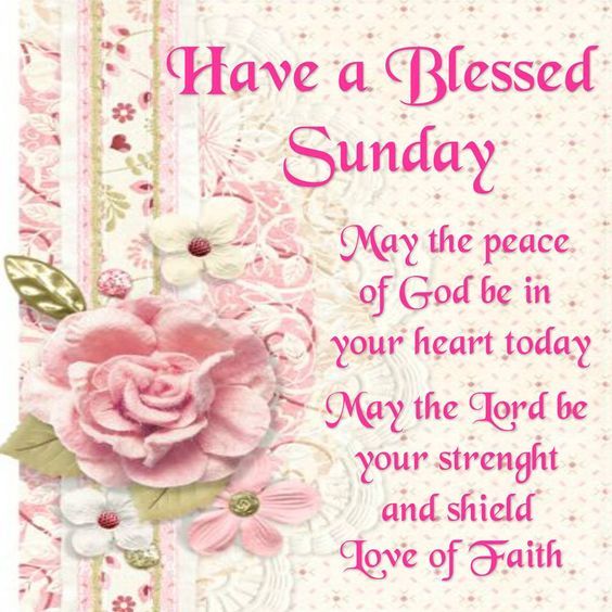 Have A Blessed Sunday Pictures, Photos, and Images for Facebook, Tumblr ...