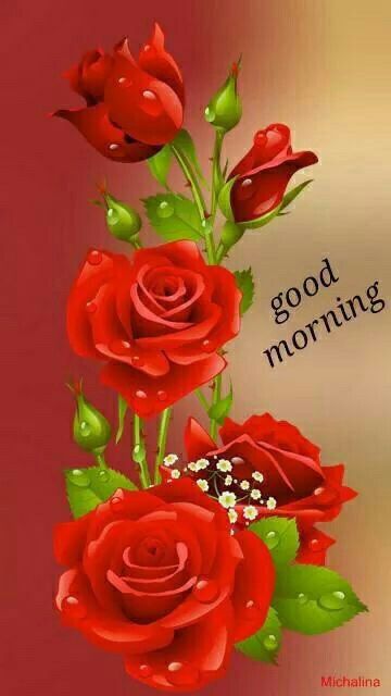 Good Morning Pictures, Photos, and Images for Facebook, Tumblr ...