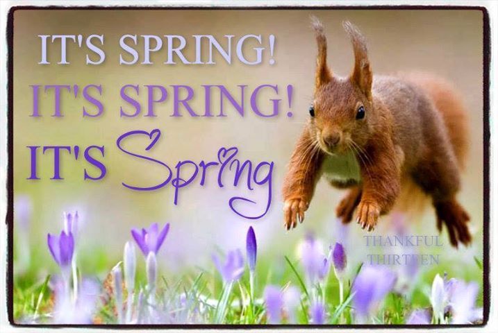 It's Spring! Pictures, Photos, and Images for Facebook, Tumblr ...