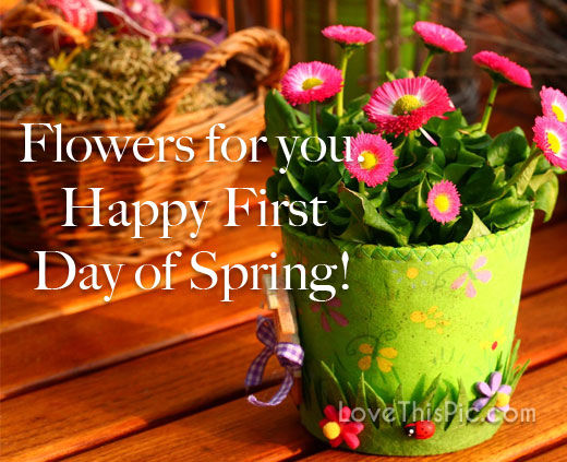 Flowers For You Pictures, Photos, and Images for Facebook, Tumblr ...