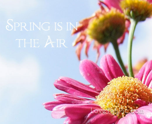 Spring Is In The Air Pictures, Photos, and Images for Facebook, Tumblr ...