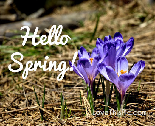 Hello Spring Pictures, Photos, and Images for Facebook, Tumblr ...