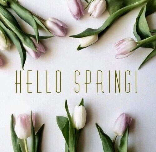 Hello Spring! Pictures, Photos, and Images for Facebook, Tumblr ...