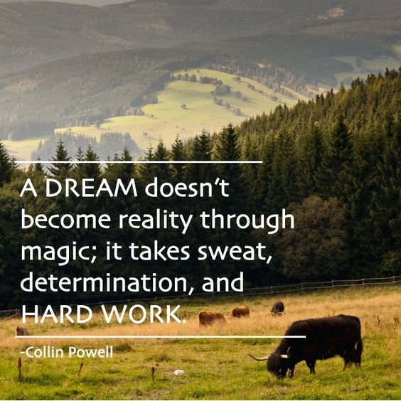 A Dream Doesn't Become Reality Through Magic; It Takes Sweat ...
