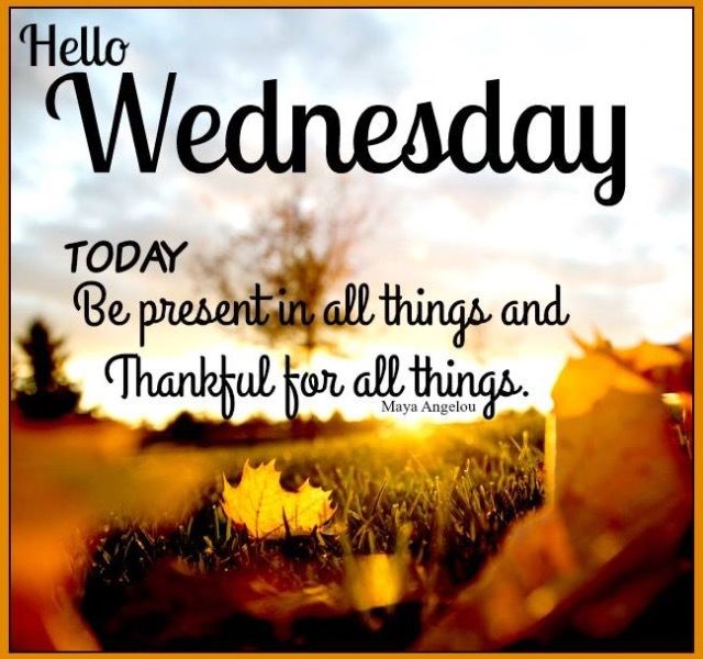Hello Wednesday Pictures, Photos, and Images for Facebook, Tumblr ...