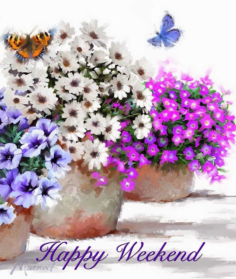 Happy Weekend Pictures, Photos, and Images for Facebook, Tumblr ...