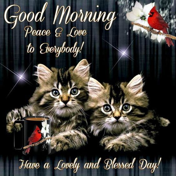 Good Morning, Peace & Love To Everybody! Pictures, Photos, and Images ...