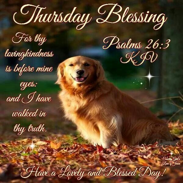 Thursday Blessing Pictures, Photos, and Images for Facebook, Tumblr ...