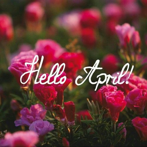 Hello April Pictures, Photos, and Images for Facebook, Tumblr ...