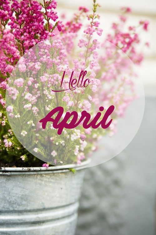 Hello April Pictures, Photos, and Images for Facebook, Tumblr ...