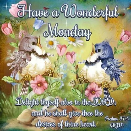 Have A Wonderful Monday Pictures, Photos, and Images for Facebook ...
