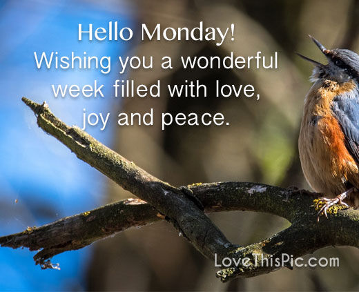Hello Monday Pictures, Photos, and Images for Facebook, Tumblr ...