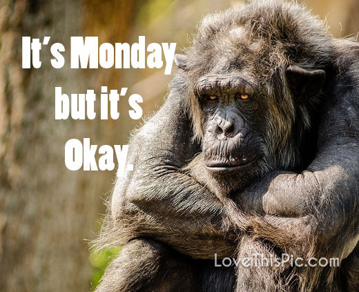 It's Monday Pictures, Photos, and Images for Facebook, Tumblr ...