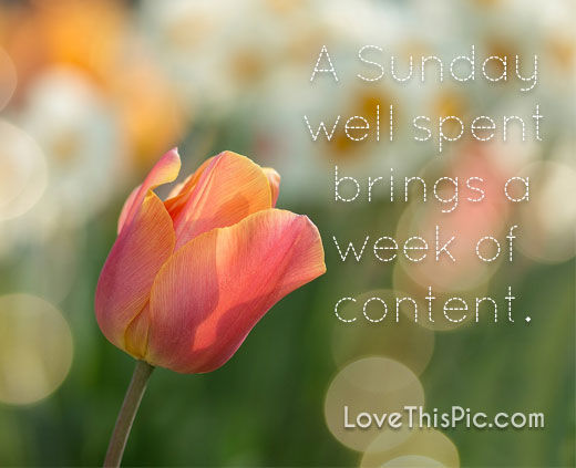 A Sunday Well Spent Pictures, Photos, and Images for Facebook, Tumblr ...