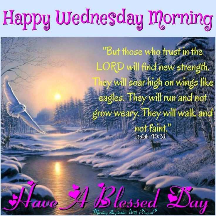 Happy Wednesday Morning, Have A Blessed Day Pictures, Photos, and ...