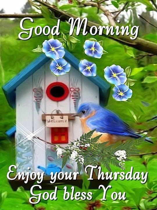 Good Morning Enjoy Your Thursday Pictures, Photos, and Images for ...