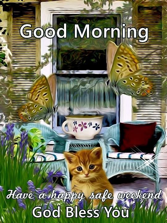 Good Morning Have A Safe Weekend God Bless Pictures, Photos, and Images ...
