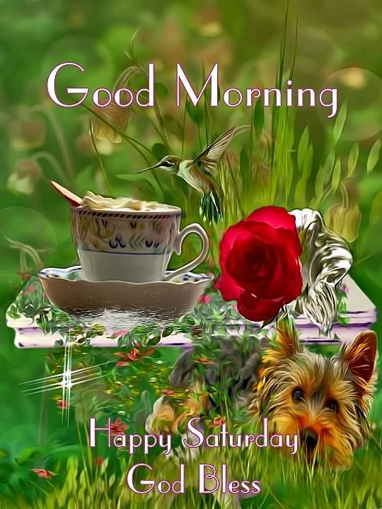 Good Morning Happy Saturday God Bless Pictures, Photos, and Images for ...