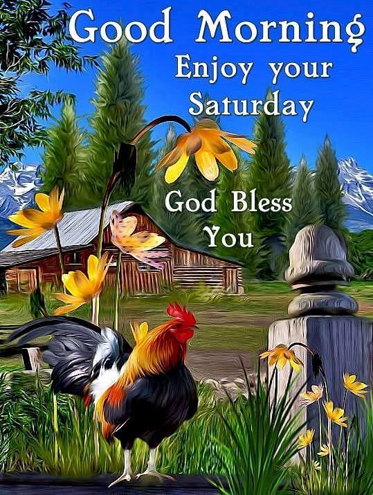 Good Morning And Enjoy Your Saturday Pictures, Photos, and Images for ...