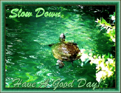 Slow Down, Have A Good Day! Pictures, Photos, and Images for Facebook ...