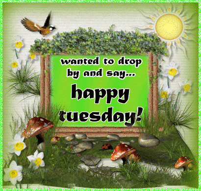 Wanted To Drop By And Say...Happy Tuesday! Pictures, Photos, and Images ...