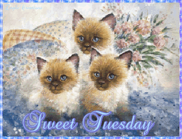 Sweet Tuesday Pictures, Photos, and Images for Facebook, Tumblr ...
