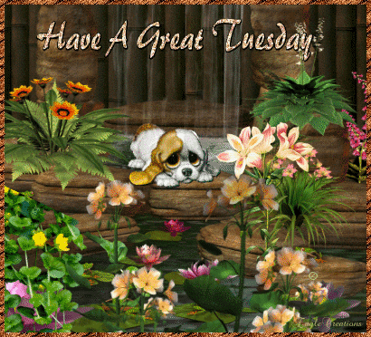 Have A Great Tuesday Pictures, Photos, and Images for Facebook, Tumblr ...