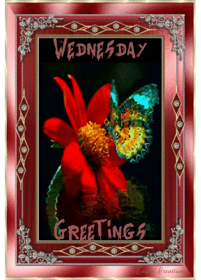 Wednesday Greetings Pictures, Photos, and Images for Facebook, Tumblr ...