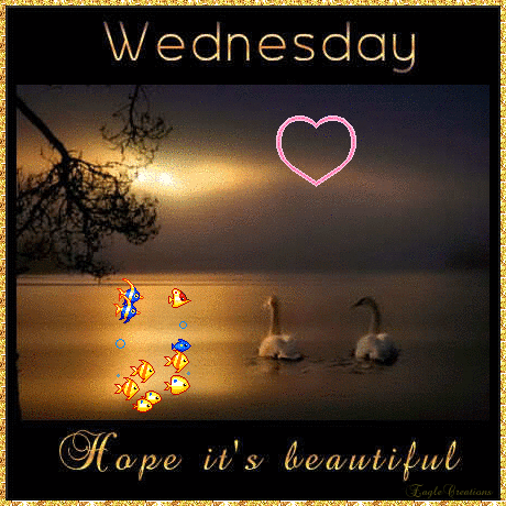 Wednesday, Hope Its Beautiful Pictures, Photos, and Images for Facebook ...