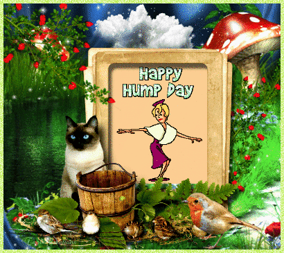 Happy Hump Day Animated Gif