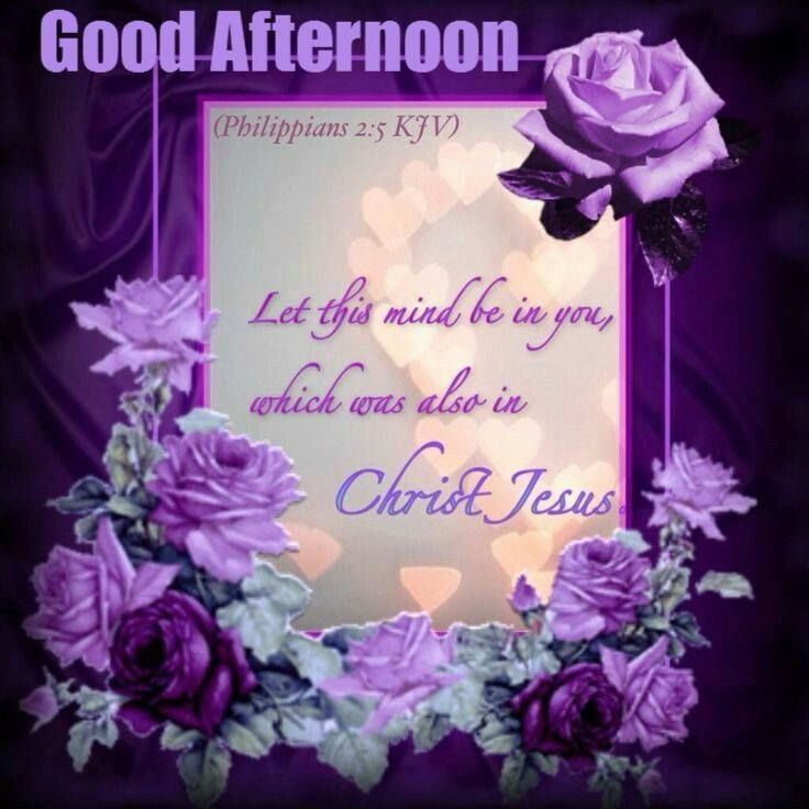 Good Afternoon Pictures, Photos, and Images for Facebook, Tumblr ...