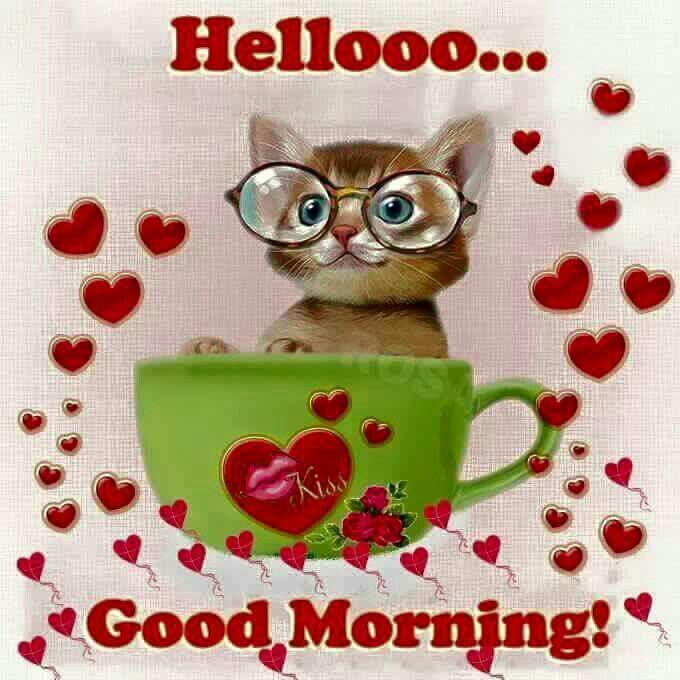 Hellooo...Good Morning! Pictures, Photos, and Images for Facebook ...
