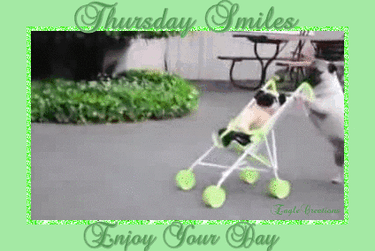 Thursday Smiles, Enjoy Your Day Pictures, Photos, and Images for ...