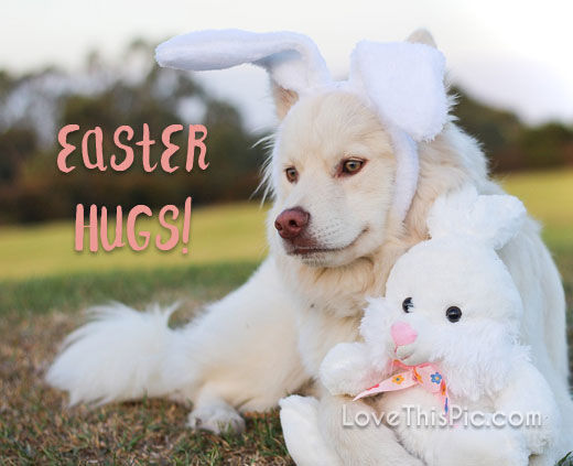 Easter Hugs Pictures, Photos, and Images for Facebook, Tumblr ...