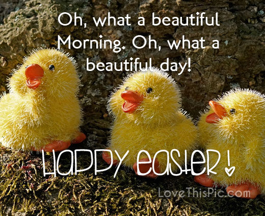 Oh What A Beautiful Day Pictures, Photos, and Images for Facebook ...