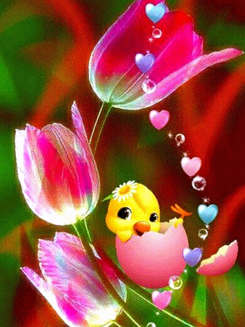 Easter Chick Pictures, Photos, and Images for Facebook, Tumblr ...