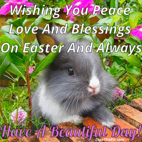 Wishing You Peace Love And Happiness On Easter And Always Pictures ...
