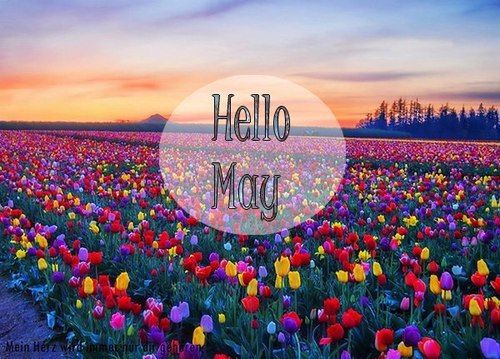 Hello May Pictures, Photos, and Images for Facebook, Tumblr, Pinterest ...