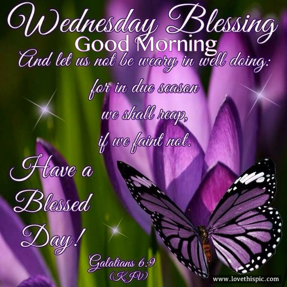 Wednesday Blessing, Good Morning Pictures, Photos, and Images for Facebook, Tumblr, Pinterest ...