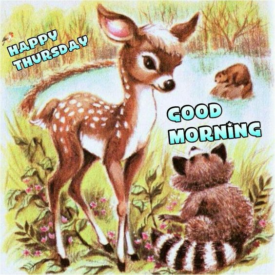 Good Morning, Good Thursday Pictures, Photos, and Images for Facebook ...