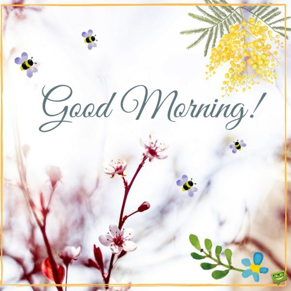 Spring Good Morning Pictures, Photos, and Images for Facebook, Tumblr ...