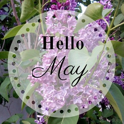 Hello May Pictures, Photos, and Images for Facebook, Tumblr, Pinterest ...
