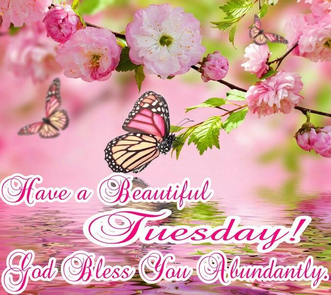 Have A Beautiful Tuesday Pictures, Photos, and Images for Facebook ...