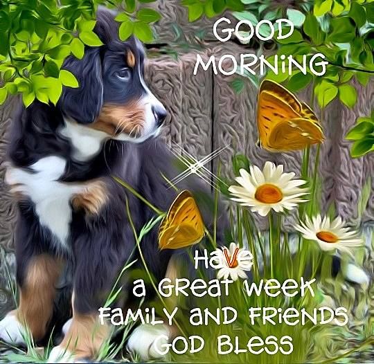 Good Morning, Have A Great Week Family And Friends, God Bless Pictures ...