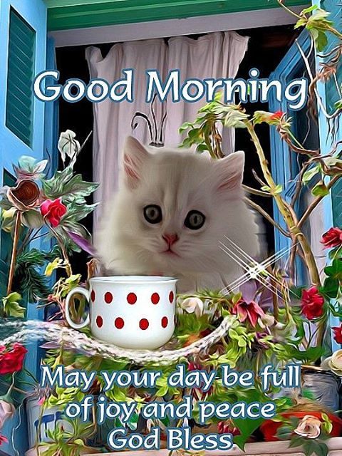 Good Morning Pictures, Photos, and Images for Facebook, Tumblr ...