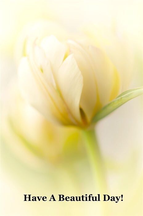 Have A Beautiful Day! Pictures, Photos, and Images for Facebook, Tumblr ...