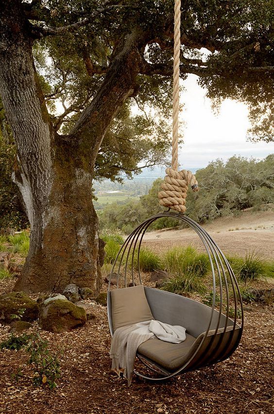 Tree Swing In Backyard Pictures, Photos, and Images for Facebook ...