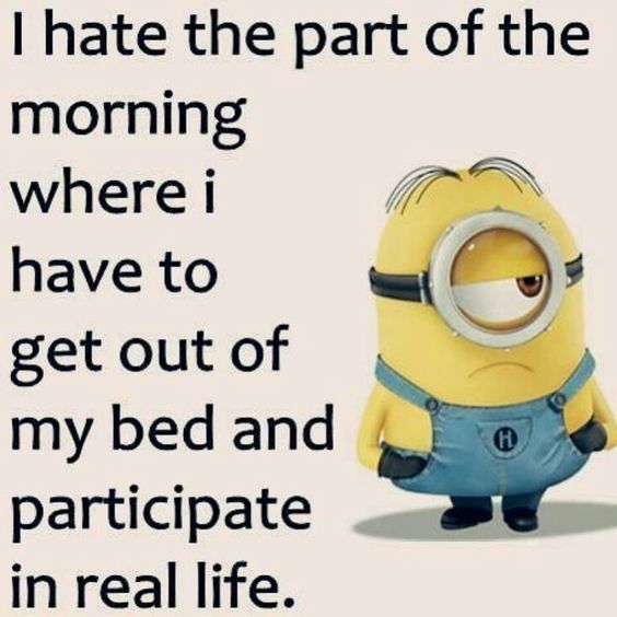 I Hate The Part Of The Morning Pictures, Photos, and Images for ...